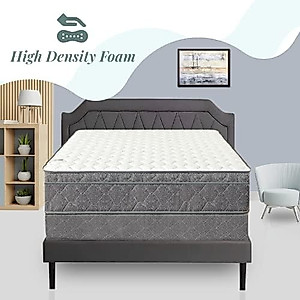 Nutan 10 Inch Foam Encased Mattress with Eurotop and 8 Inch Box Spring Bed Set, Comfy, and Soft Plush Mattresses Provide Soothing Sleep, Complete Body Support, and Pressure Relief, Twin
