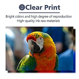 Universal Dye Ink Refill Kit for HP Canon Brother Lexmark Printers Compatible Cartridges Refillable Cartridge CISS CIS System 5 Bottle with 4 Free Syringes (2BK, C, M, Y)