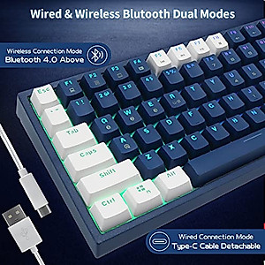 CQ84 Wireless Mechanical Gaming Keyboard, Compact 84 Keys, Programmable RGB Backlight, 60% Keyboard, Blue and White Keycaps for Ipad, Android/windows Tablet, Desktop, PC Gamer(Brown Switch)