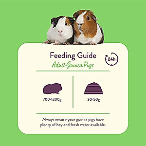 Burgess Excel Nuggets With Mint Guinea Pig Food 10kg