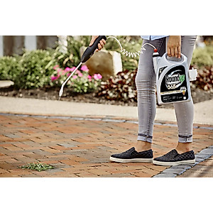 Roundup Ready-To-Use Max Control 365 with Comfort Wand