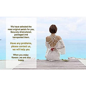 Dried Flowers and Herbs Accessories Decorations 8 Bags Set Dry Flowers Essential Supplies Rose Buds Lavender Chamomile Jasmine Scents for Flower Arrangements Crafts Bath Soap Lip Gloss Making