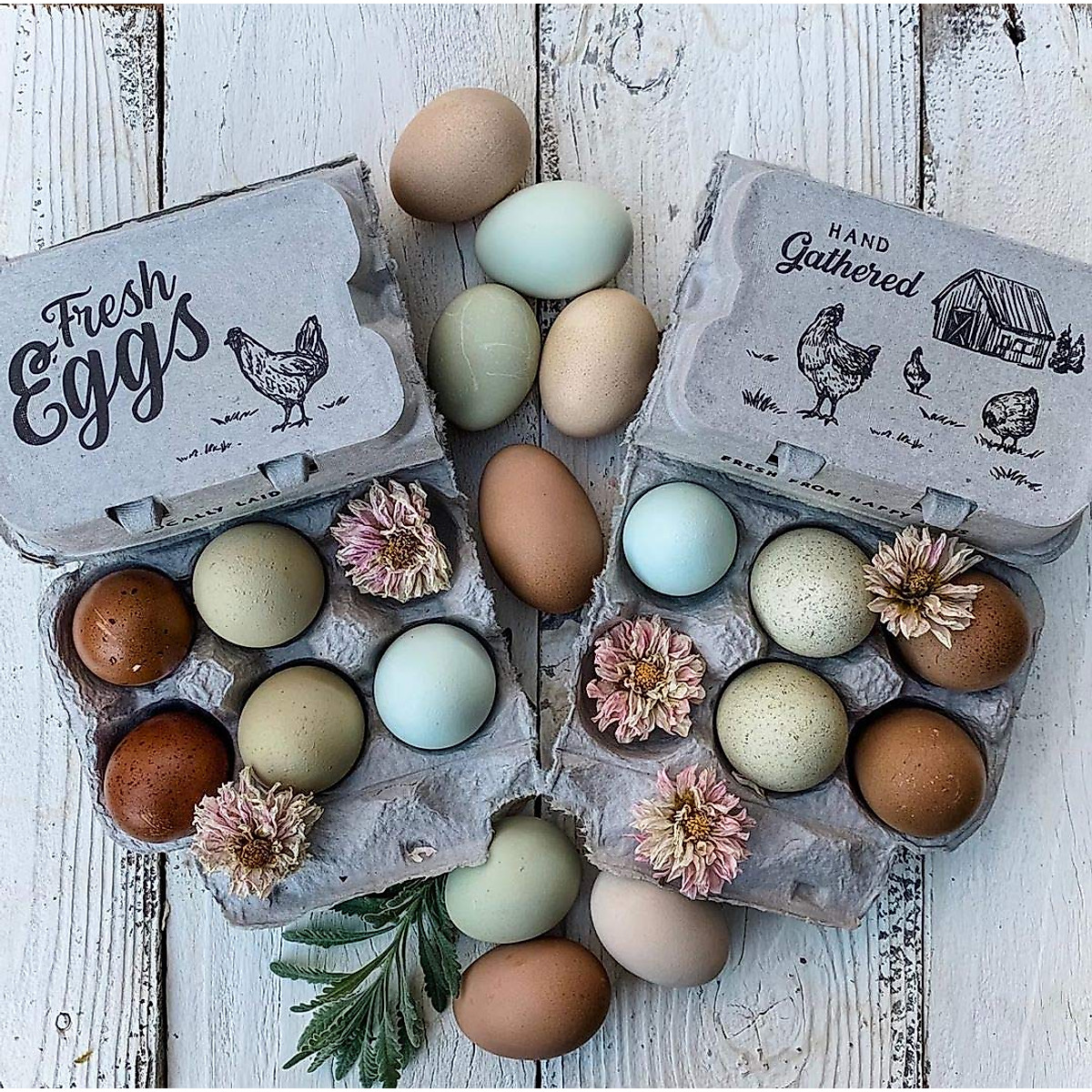 Half Dozen Empty Egg Cartons- Bulk 50 Full Dozen Can Split to 100 Half Dozen Size- Securely Holds 6 or 12 Extra Large Eggs