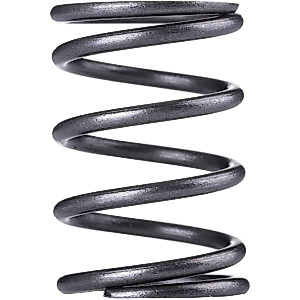Robert Bosch Corp 2604617004 Spring