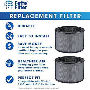 Fette Filter - 2 Premium True Hepa H13 Replacement Filter Size O Compatible with Winix Air Purifier Model A230 A231 Compare to Part # 1712-0110-00, 1712011000