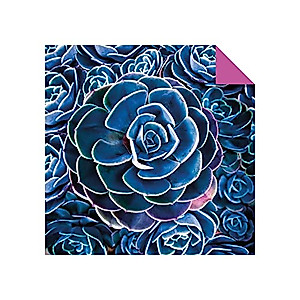 Origami Paper 500 sheets Succulents 6" (15 cm): Tuttle Origami Paper: Double-Sided Origami Sheets with 12 Different Photographs (Instructions for 6 Projects Included)