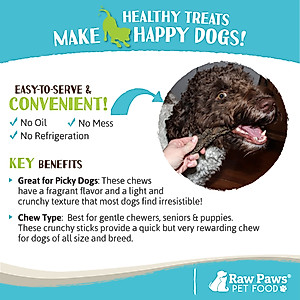Raw Paws Green Beef Tripe Sticks for Dogs - 6-inch, 10-Pack - Packed in USA - Dried Tripe Dog Treats from Free-Range, Cows No Added Antibiotics or Hormones - Dehydrated Beef Green Tripe for Dogs