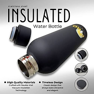 FARO Stainless Steel Water Bottle -17 Fl Oz- Double Layer Vacuum Insulated Reusable Thermos Leak Proof BPA Free thermoflask Hot Cold Water Bottles for Sport, Gym, Coffee, and School (BLACK)