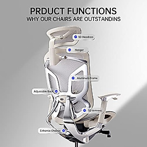 ERGOUP Ergonomic Office Chair Computer Desk Chiar Mesh High Back Desk Chair, Mesh Computer Chair with Adjustable Lumbar Support, Rocking Executive Swivel Chair for Home