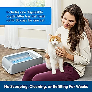 PetSafe ScoopFree Self-Cleaning Cat Litter Box - Never Scoop Litter Again - Hands-Free Cleanup With Disposable Crystal Tray - Less Tracking, Better Odor Control - Includes Hood & Disposable Tray