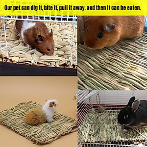 Hamiledyi 18 Pack Bunny Grass Woven Bed Mat Natural Straw Hay Mats Rabbit Handmade Bedding Sleeping Grinding Nesting and Chewing Toy for Guinea Pig Hamster Chinchilla Squirrel Hedgehog