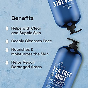 Botanic Hearth Tea Tree Face Wash with Mint - Acne Fighting, Therapeutic, Hydrating Liquid Face Soap with Pure Tea Tree Oil - for Women and Men, Paraben Free, Fights Acne - 16 fl oz