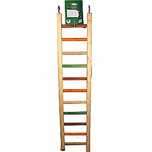 A&E Cage Company 001452 Happy Beaks Wooden Hanging Ladder Multicolored, 25 in