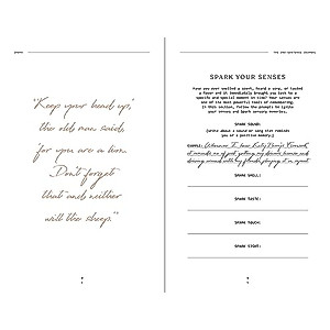 Spark: The One-Sentence Journal