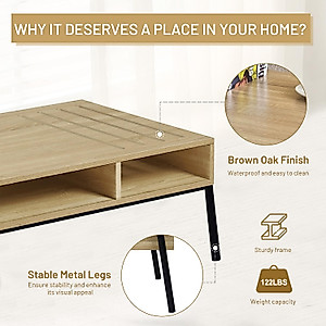 FurnitureR Modern Coffee Table with Open Storage Shelf, Rectangle Tabletop Wood Tea Cocktail Living Room Center Table, Oak