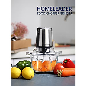 Meat Grinder Food Processor Chopper Electric Homeleader 8 Cup BPA-Free Glass Bowl Fast & Slow Speeds 4 Stainless Steel Blades Powerful 400W Pure Copper Motor for Vegetables, Lean Meat, Onion, Nuts, etc.