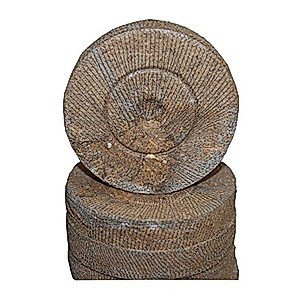 jiffy-7 Peat Pellet 36mm Seed Starting - 100 ea by Growers Solution