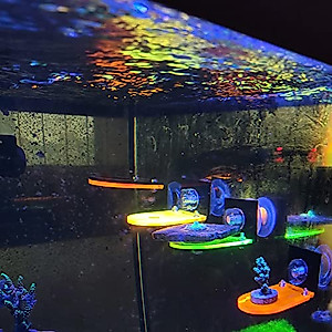 Coral Frag Rack Fluorescent Coral Brackets Holder Marine Reef Aquarium Spare Parts Cultivating Live Coral (Red Yellow Orange Green)