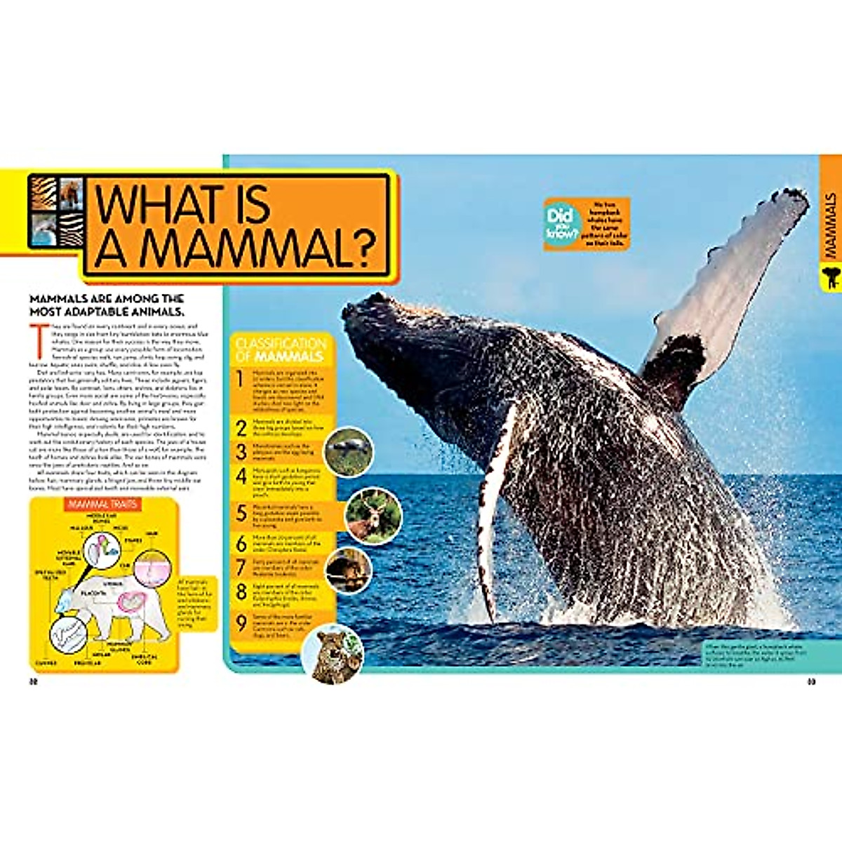 National Geographic Kids Animal Encyclopedia, 2nd Edition: 2,500 Animals with Photos, Maps, and More!