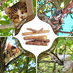 Rocendlor 25PCS/Pack Silvervine Sticks for Cats, Cat Chew Stick, Catnip Toys, Natural Matatabi Sticks, Kitty Kitten Teething Interactive Wand Toy, Molar Dental Sticks for Cat