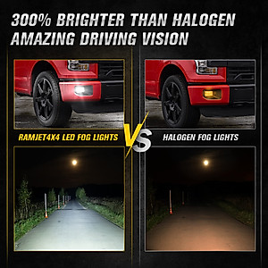 Upgrade LED Fog Lights DOT Bumper Fog Lamps Replacement for Ford F150 2015 2016 2017 2018 2019 2020 F150 (Black - without Halo)