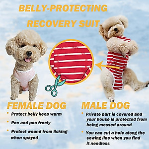 Dog Surgical Recovery Suit, Spay Recovery Suit for Small Medium Dog, Post Surgery Dog Onesie for Male Female Puppy (Grey Stars-L)