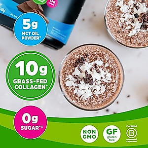 Orgain Keto Collagen Protein Powder, Chocolate - 10g Grass Fed Hydrolyzed Collagen Peptides Type 1 & 3, 10g Protein, 5g MCT Oil - 0.88lb (Package may vary)