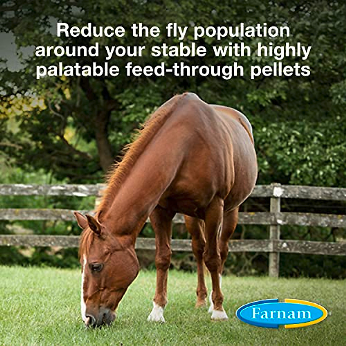 Equicare Simplifly with Larvastop, 20 Pound