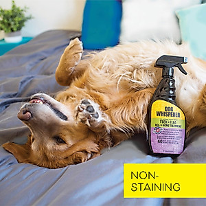 Yaya Organics Dog Whisperer Tick + Flea Home Treatment Spray, Proven Effective, Plant-Based (24 Ounces)