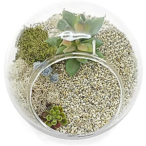 5 Pounds Natural Coarse Silica Sand - for use in Crafts, Decor, Gardening, Vase Filler, Aquariums, Terrariums and More