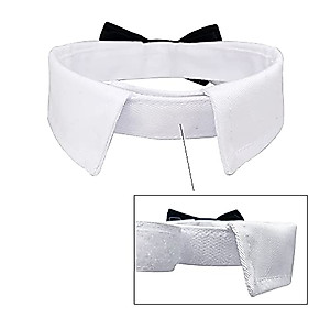 Casidoxi Dog Cat Tuxedo Collar, Cat Wedding Bowtie, Cat Bow Tie Tux Collar Costume Birthday Easter Valentines Dog Bowtie Cat Collar for Dog Cat Puppy