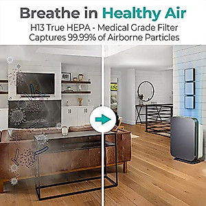 Alen 75i Air Purifier, Quiet Air Flow for Extra-Large Rooms, 1300 SqFt, Air Cleaner for Allergens, Dust, Mold with Long Filter Life