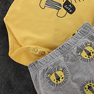 Newborn Baby Boy Clothes Little Lion Print Romper+Pants+Hat Newborn Boy Outfits Set(0-3 Months)