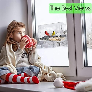 Large Clear Window Bird Feeder - Extended House with Strong Suction Cups - Steel Perch Sliding Feed Seed Tray - See Through Transparent Big Birdhouse - Wild Finch, Cardinal, Blue Jay - Cool Cat Gift