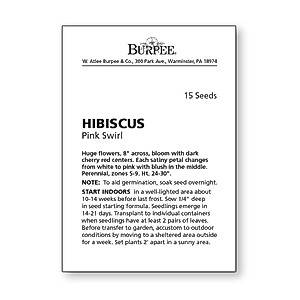 Burpee Pink Swirl Hibiscus Seeds 15 seeds