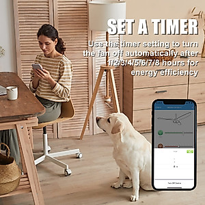 SMAAIR 52 inch Smart Ceiling Fan with Light, 5 Blades Low Profile Ceiling Fan with 10 speed DC Motor and Dimmable LED Light, works with APP/Alexa/Google Assistant/Siri Shortcuts (White)