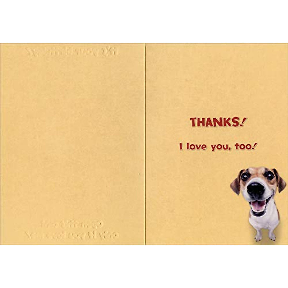 Designer Greetings Open This Card : Jack Russell Terrier Funny : Humorous Dog Love Birthday Card