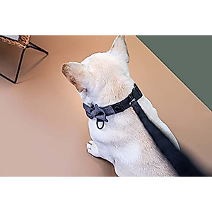 BOW Gentle - Modular Dog Collar