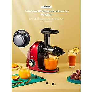 Juicer Machines Vegetable and Fruit, HOUSNAT Cold Press Juicer Extractor with 2-Speed Modes Easy to Clean, Slow Masticating Juicer with Quiet Motor, Reverse Function, Recipes (Passion Red)