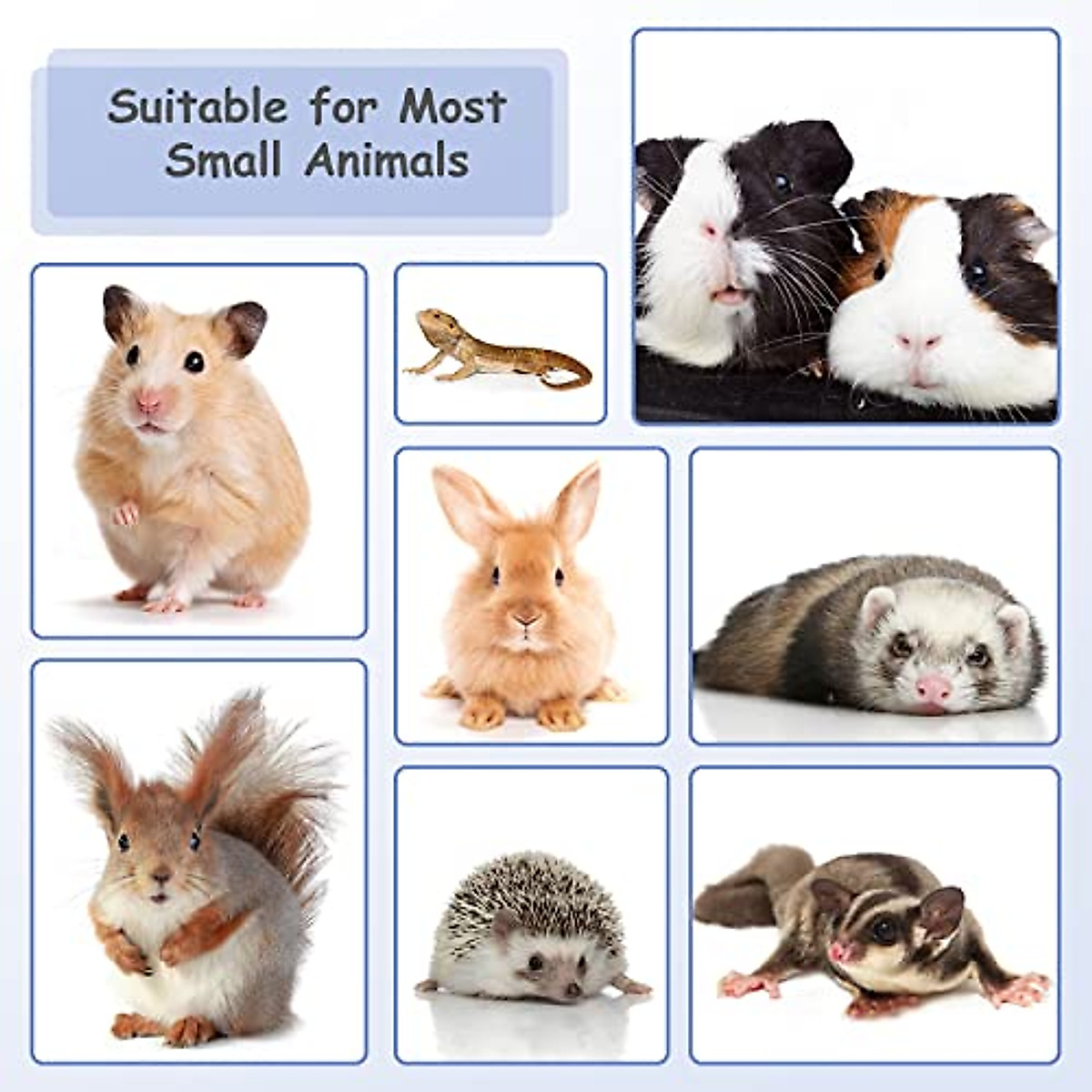 ROZKITCH 4 Pieces Guinea Pig Blanket Bed, Washable Hamster Bedding Pad for Small Animal, Soft Plush Fleece Mat for Sugar Glider Hedgehog Chinchilla Sleep Bed, Rabbit Cage Accessories 11.8 x 15.7inch