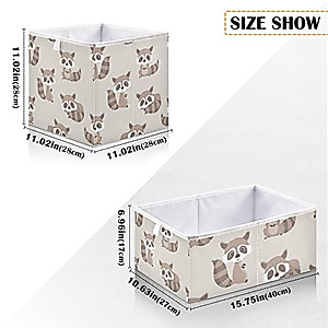 Cute Animals Raccoon Storage Baskets for Shelves Foldable Collapsible Storage Box Bins with Closet Organizers Cubes Decorative for Pantry Toys, Clothes, Books in Closet and Shelf,11 x 11inch