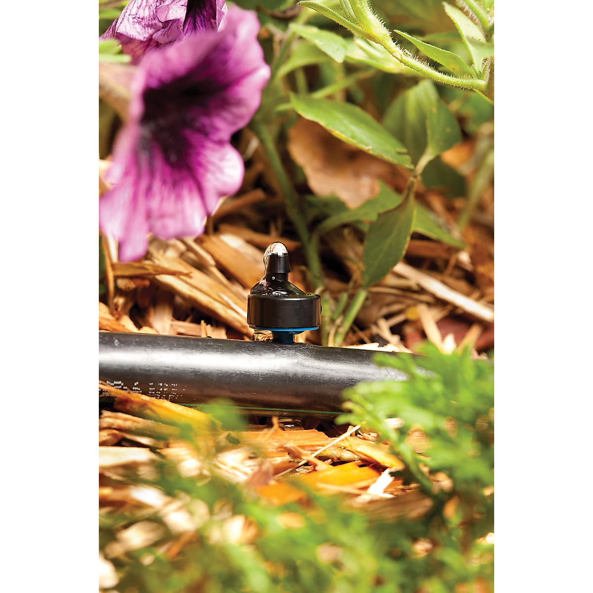 Rain Bird BUE05-25S Drip Irrigation Button Dripper/Emitter, 0.5 (1/2) Gallon Per Hour, 25-Pack