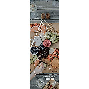 NoFly Pro, Bug Repellent, Fly Fan, Keep Flies Away from Your Food, Safe to Touch, Indoor and Outdoor, No Chemicals, Cleaner, Safer and Better Than Fly Swatters and Traps, 3 x 3 x 10 Inches (White)