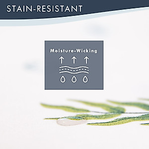 Where The Polka Dots Roam Nautical Ocean Full Bedding Set - 4 Piece Super Soft Kids Bed Set with Fitted Sheet, Flat Sheet, and Pillowcases - Underwater Sea Creatures Design for Boys Girls Room Décor