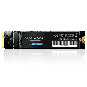 Dataram SSD for 2012 Apple MacBook Air EMC 2558 & EMC 2559, SATA-III M.2 2280 Internal SSD (1TB)