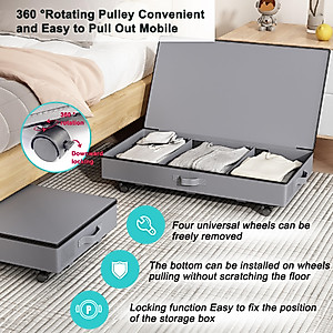 BEESTMUEBLE 2Pack Under Bed Storage, 53 L Under Bed Storage Containers with Wheels and Lids, Thicken 600D Oxford Cloth Under the Bed Organizer with Handles for Blankets, Pillows and Clothes, Grey