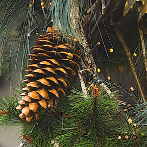 Purple Star 80 PCS Artificial Green Pine Needles Branches-4.0" x 2.0 Inch Pine Twigs Stems Picks-Fake Greenery Pine Picks for Christmas Garland Wreath and Home Holiday Garden Decoration (80pcs)