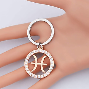 TGBJE Zodiac constellation Keychain Zodiac Sign Gift Zodiac Outline Gift Horoscope Constellation Celestial Zodiac Keychain (RG Pisces)