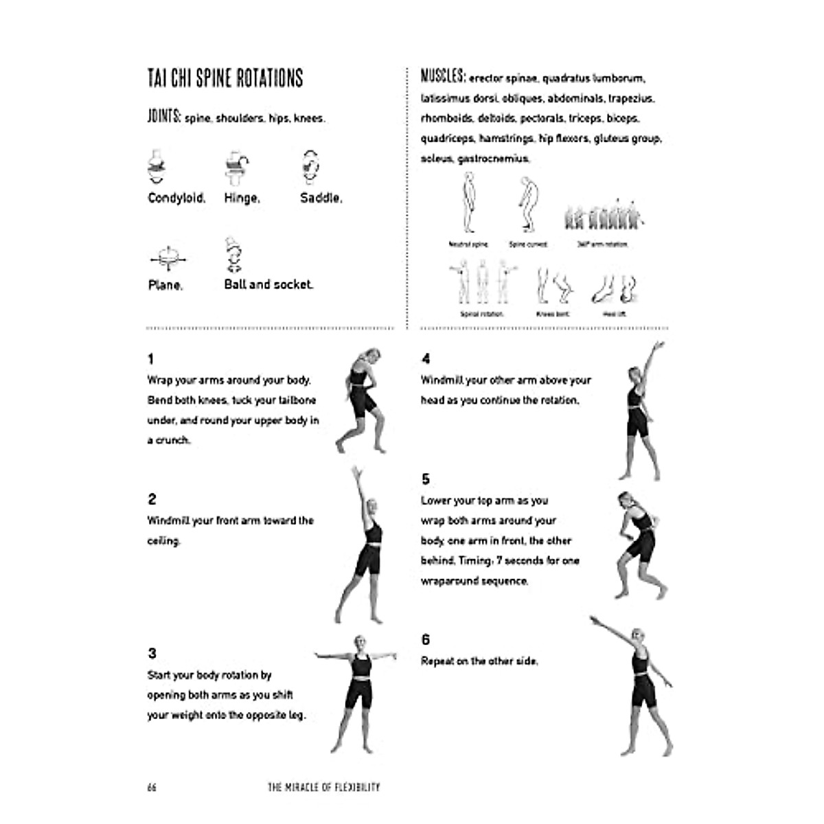 The Miracle of Flexibility: A Head-to-Toe Program to Increase Strength, Improve Mobility, and Become Pain Free