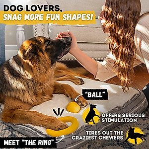 WoofBite Indestructible Ring Ball - Lifetime Replacement - for Aggressive Chewers, Medium Large Breed - Non-Toxic Natural Rubber Dog Toys - Butter Scent, Yellow (Highly Visible Color for Dogs) - 4.5”